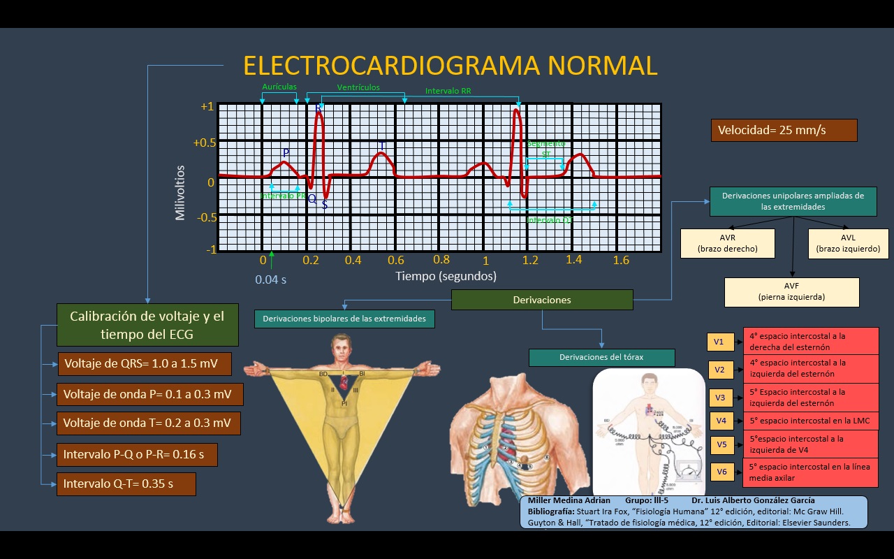 Fisiología básica: Electrocardiograma (Interpretación, Eje Eléctrico)