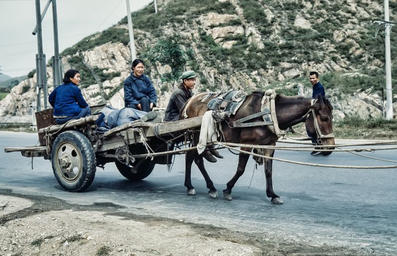 50 Impressive Photos That Capture Everyday Life of China in the Late ...