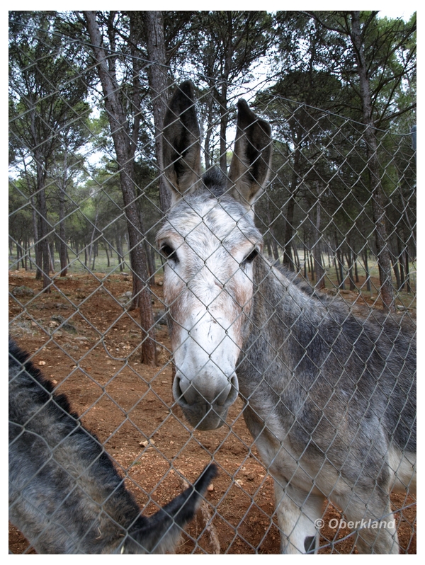 Rutas de senderismo por Andalucía: Sierras Subbéticas Cordobesas ...