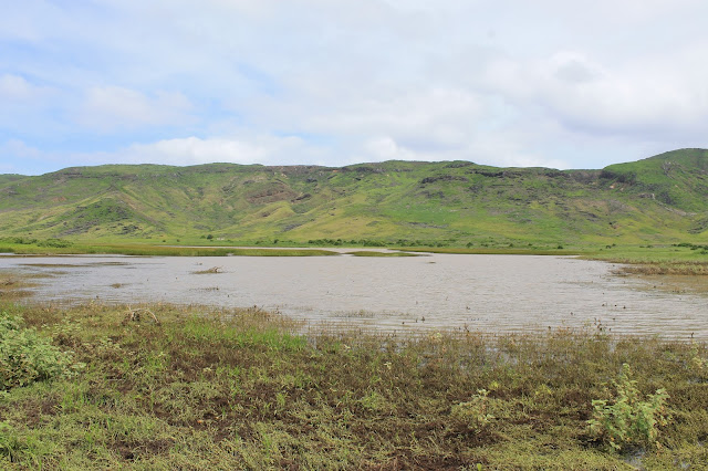 Biodiversidad de "El Bajío Profundo": ISLA CLARIÓN, ARCHIPIELAGO DE ...