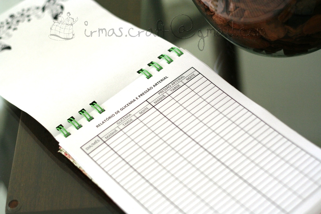 Irmãs Craft: Caderno - Controle de Glicemia