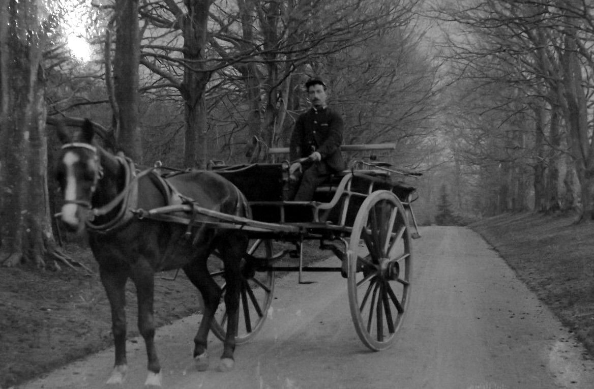 Tour Scotland: Old Photograph Postman With Horse And Carriage Perth ...