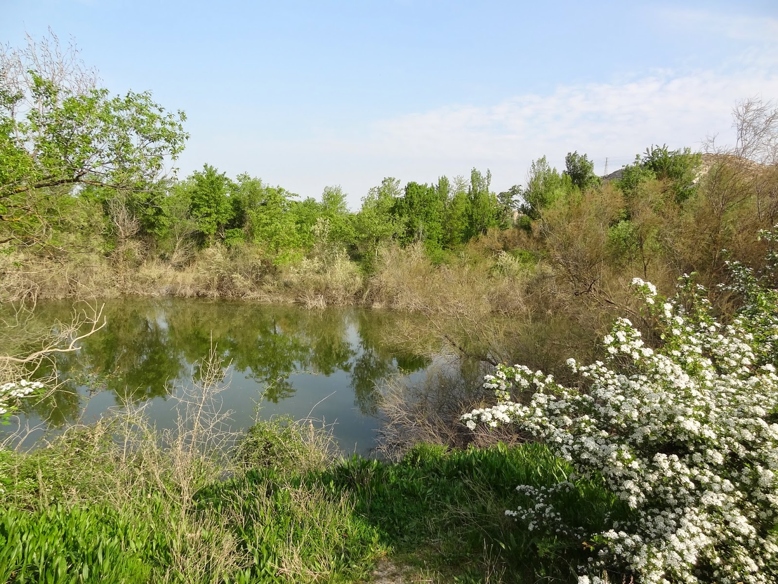 El galacho de Juslibol - España