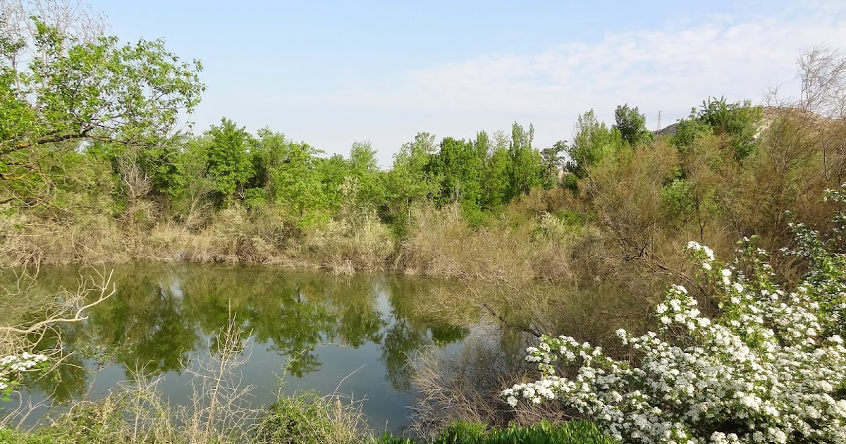 El galacho de Juslibol - España