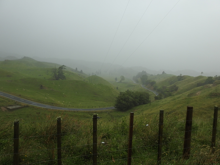 photographing New Zealand: random countryside scenes