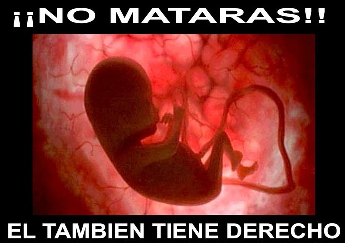 EL ABORTO♫: EL ABORTO