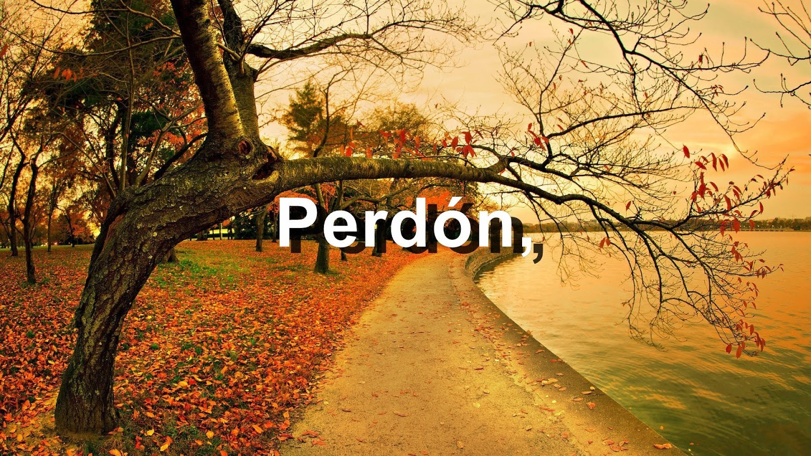 Coral Garcia : Perdonar, pero perdonar de verdad