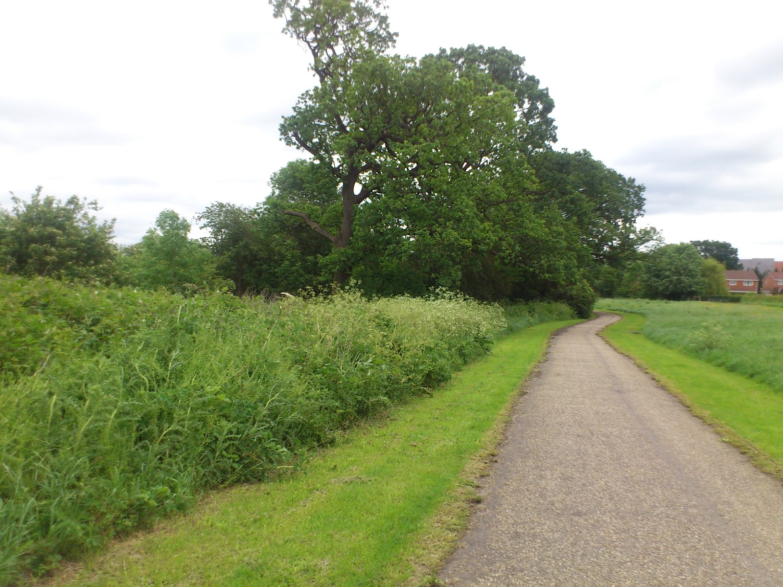 A Brummie's Guide to Birmingham: River Rea; Middlemore Rd - Popes Ln.