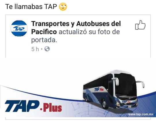 La nueva imagen de TAP, cortesía de Busologos Plus