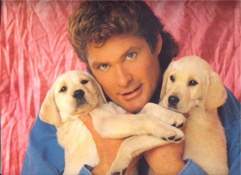 David Hasselhoff Wallpaper
