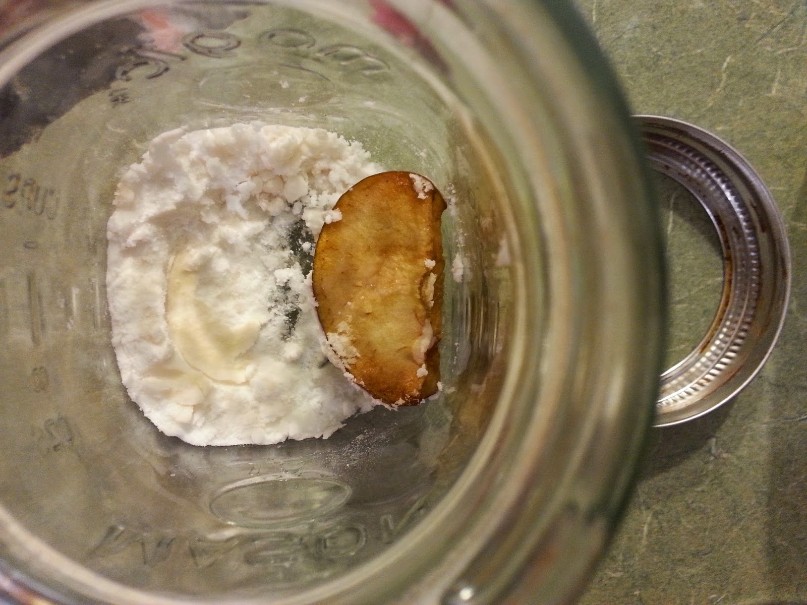 The Cool Science Dad: The Rotting Apple Experiment Results