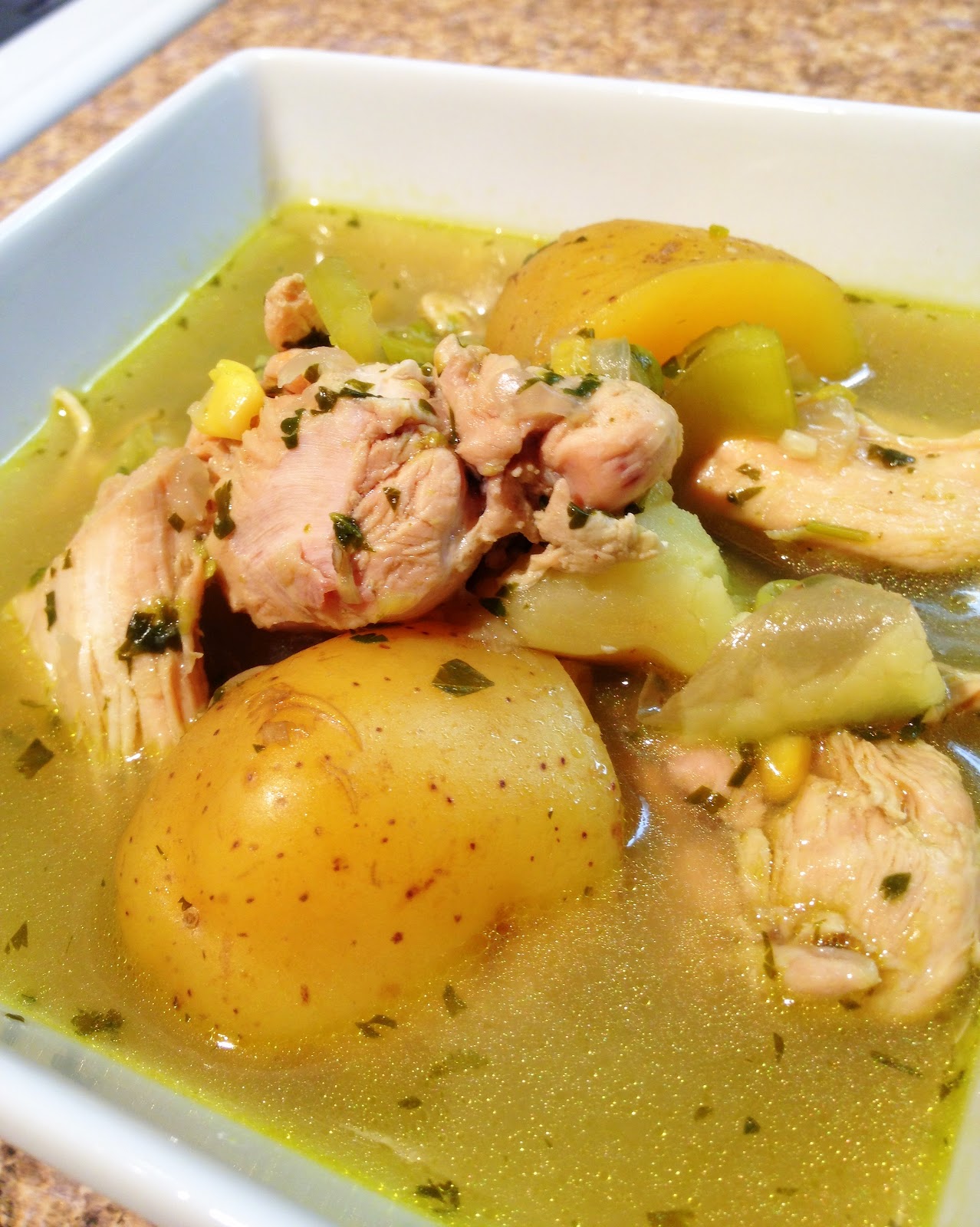 Teryn Up The Kitchen: *Aguadito de Pollo (Peruvian Chicken Soup ...