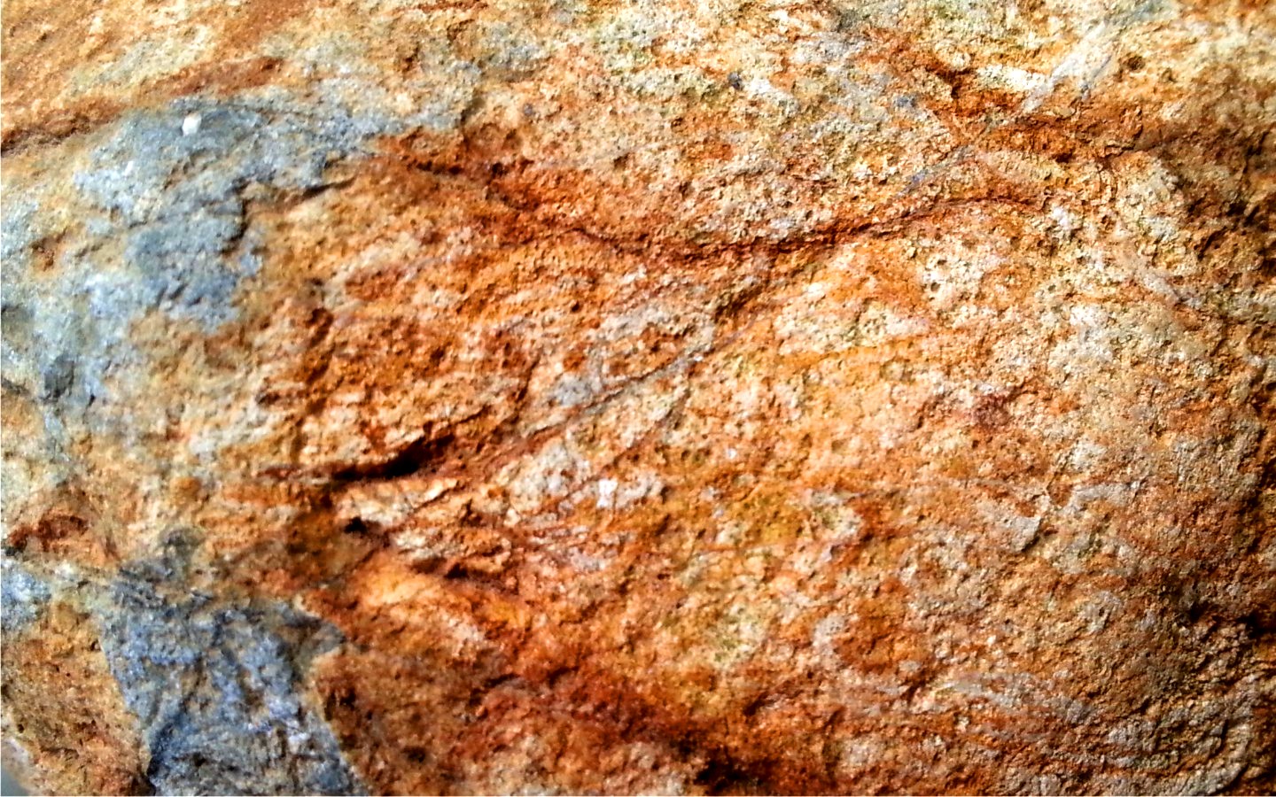 Texture Royalty Free