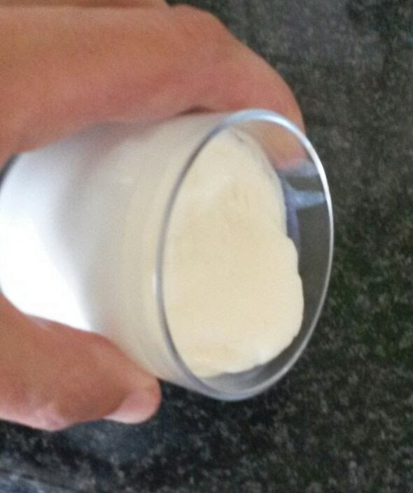 KEFIR - Alimento Probiótico : Viili - O que é Viili?