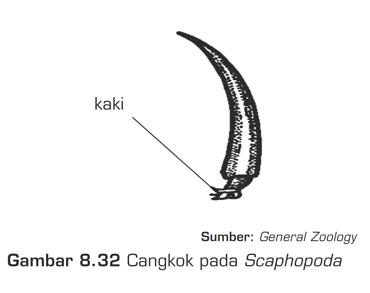 MATERI | SOAL BIOLOGI SMP SMA REMBANG: March 2012 MATERI | SOAL BIOLOGI ...