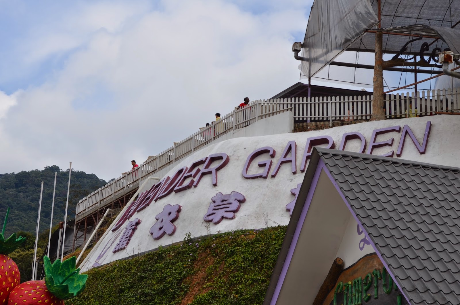 Our Journey : Pahang Cameron Highland - Kampung Raja Lavendar Garden