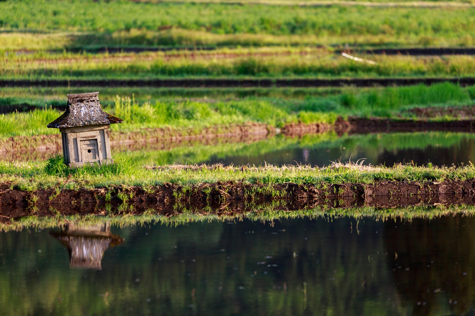 Small shrines in Japan / Hokora / Shinto concept