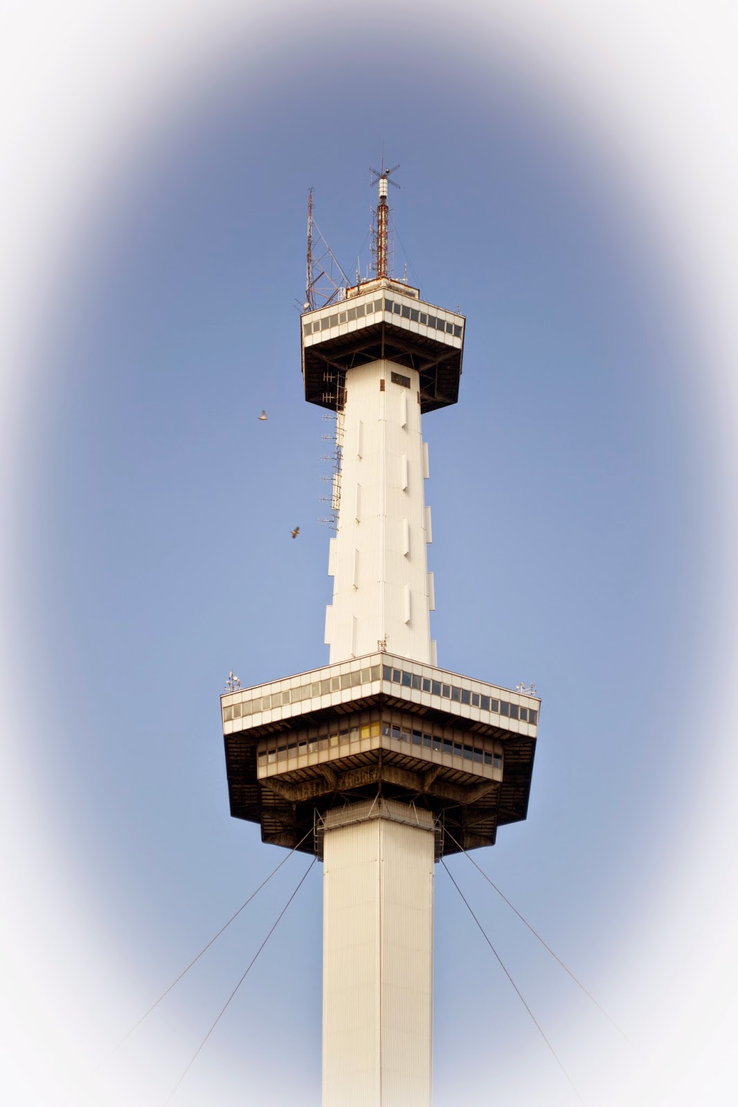 Mi pequeño gran mundo: Parque de la Ciudad