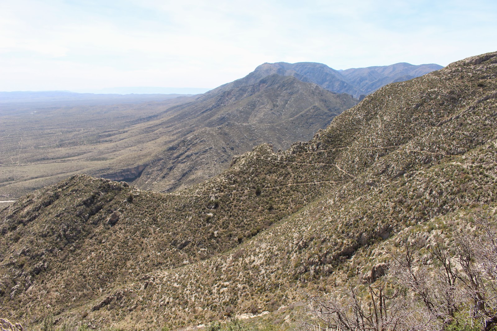 Finding Fossils...: The Permian Capitan Reef