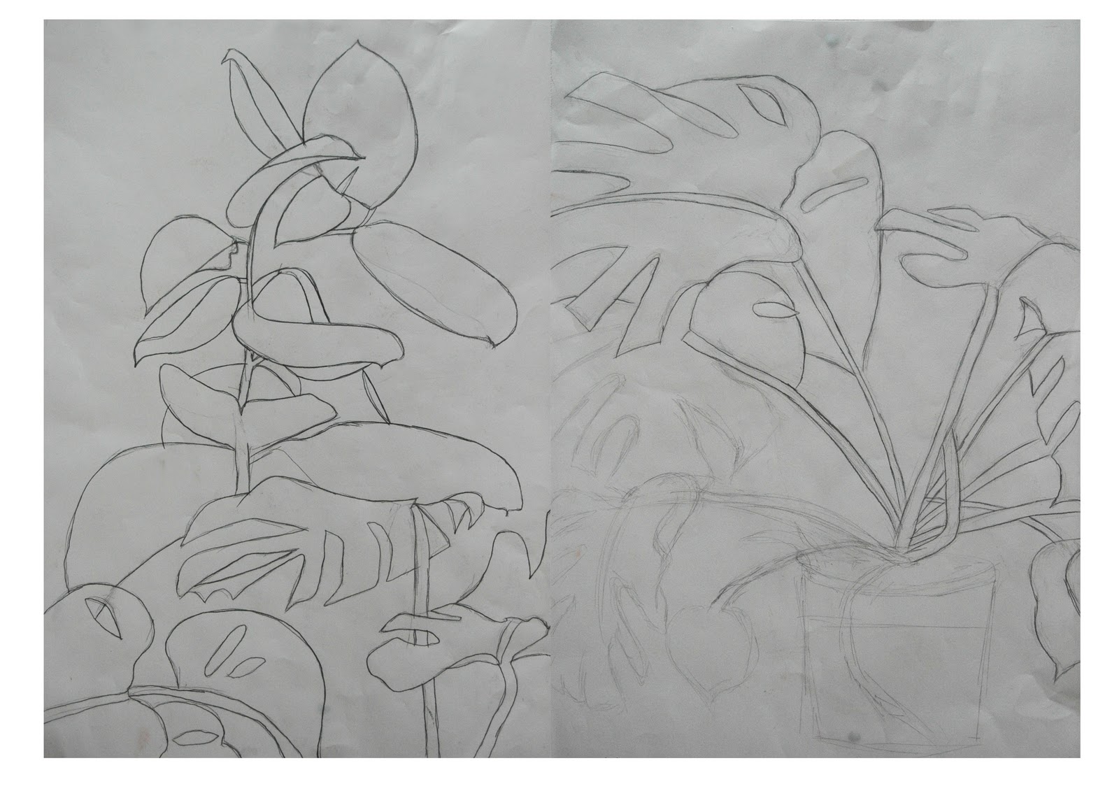 Moumita Chowdhury: Observational Drawings