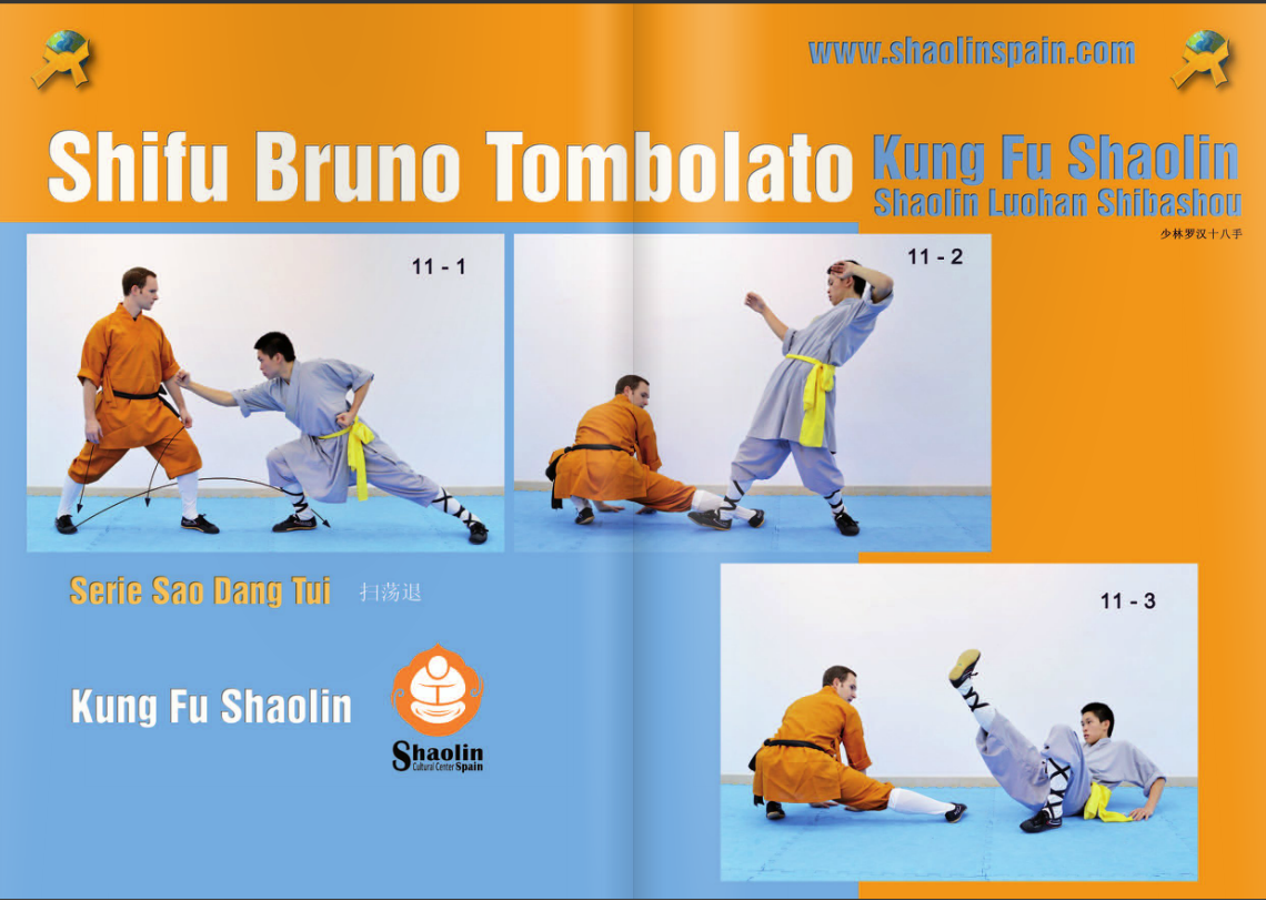 Shaolin Granada: Nueva serie tecnica de la Escuela en la revista ...