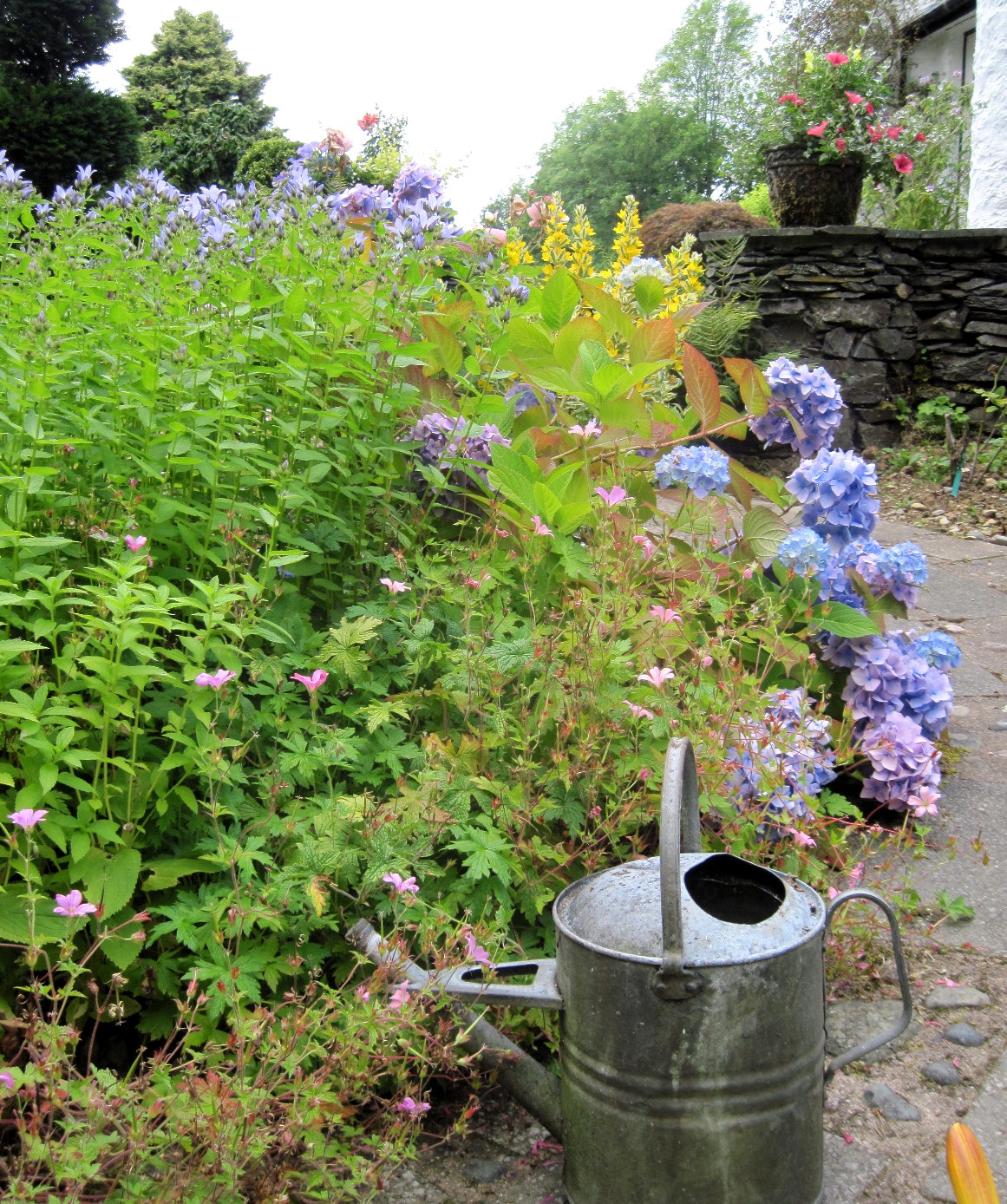 Flutterby Patch: July 2011