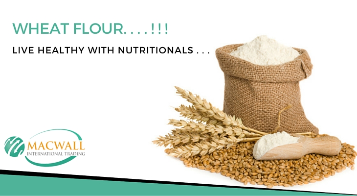 Healthy living with nutritional values of wheat flour - My Food Sprout