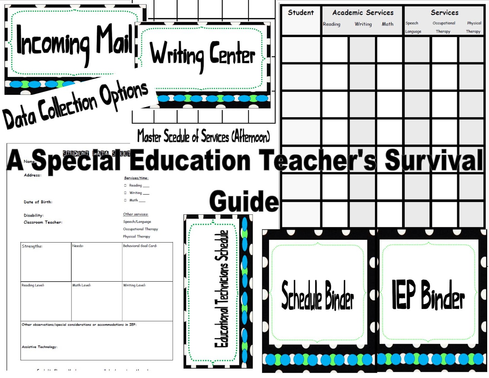 Classy Gal Designs and Publishing: Special Education Teacher's Survival ...