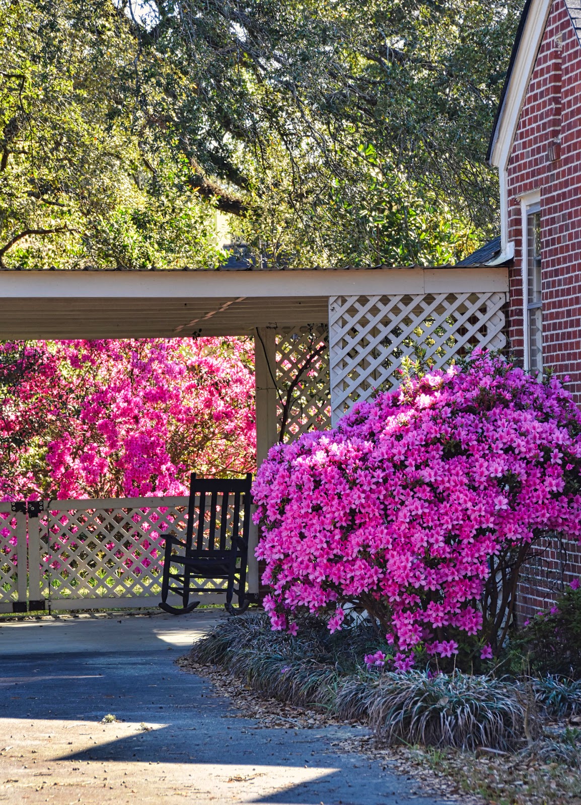 Royal Town Rambles: The Splendor of a Southern Spring