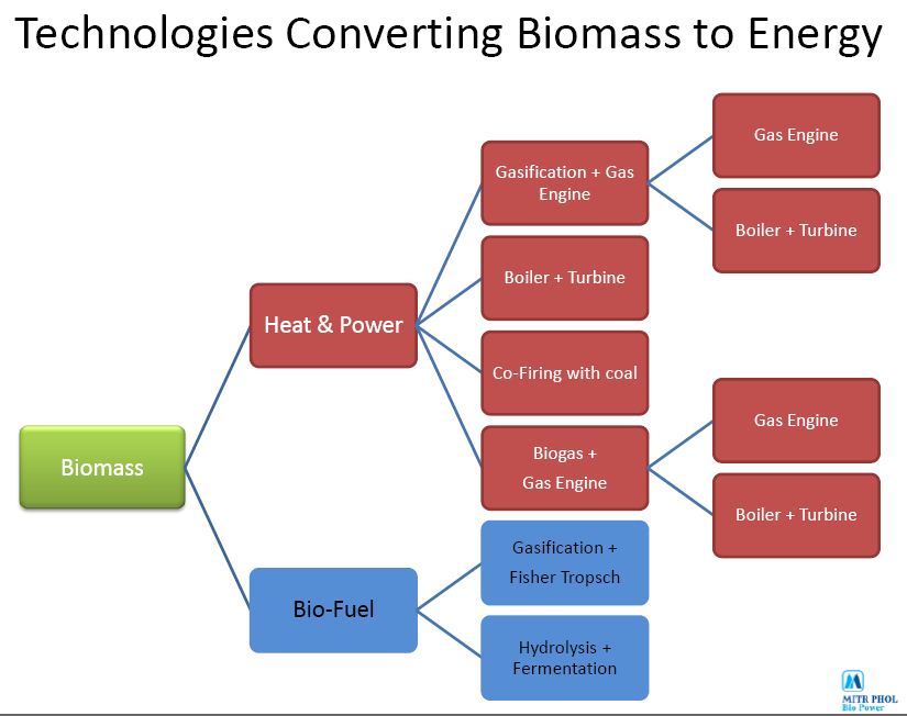 Biomass Plant Model