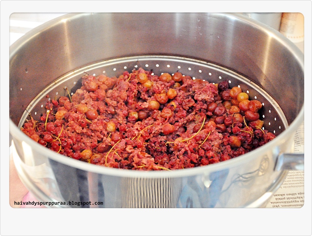 Häivähdys purppuraa: (melko) Kätevä emäntä: marjat mehuksi