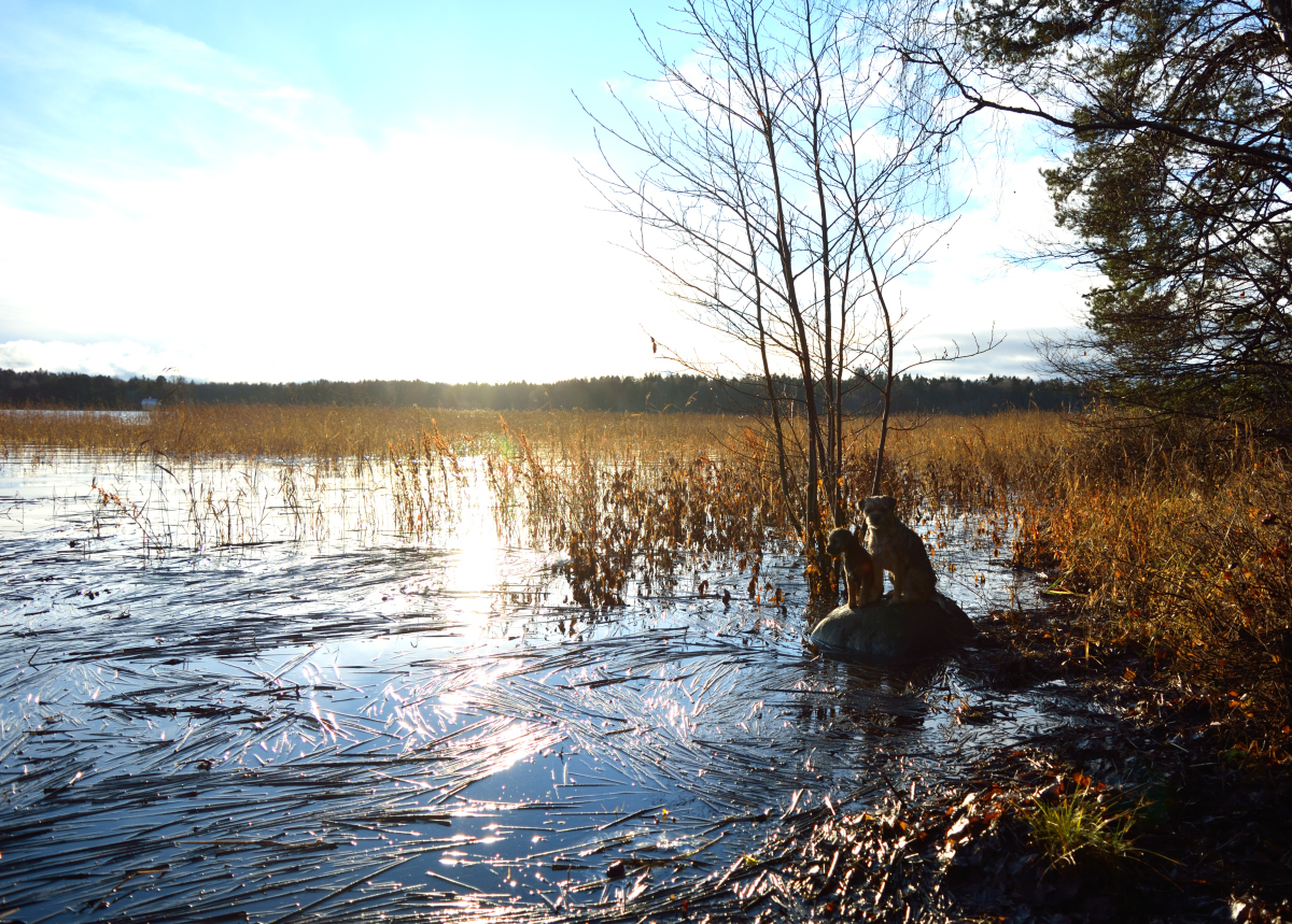 Merivesi nousee takapihalle - Saaristopuutarha