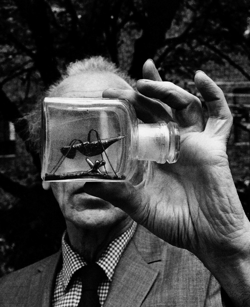 Anthony Luke's not-just-another-photoblog Blog: Photographer Profile ...