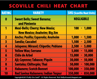 Fluffy Chix Cook The Basics: Let's Chile Wrangle! (AKA Skinning Chiles)