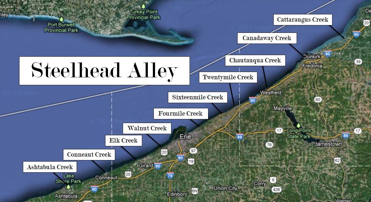 Steelhead Alley River Conditions