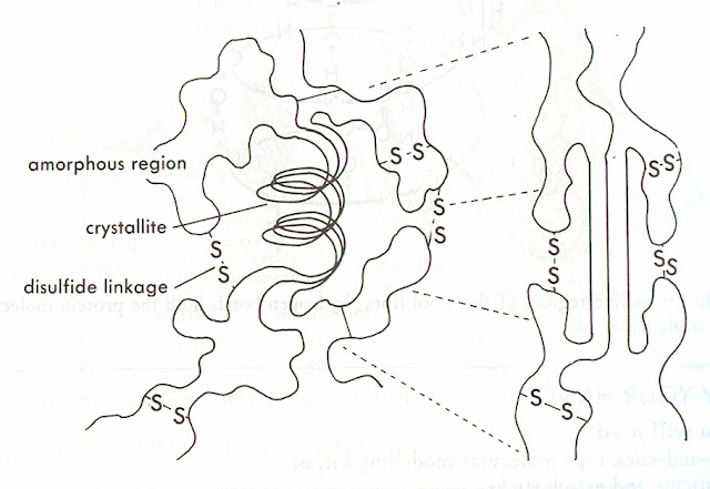 Art Quill Studio: Protein Fibers – Wool[1-2]Art ResourceMarie-Therese ...