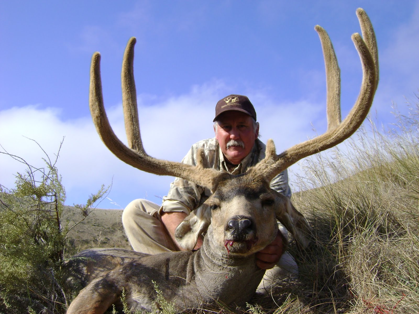 High Desert Outfitters: Andy Wood's 2010-2011 Santa Rosa Bucks
