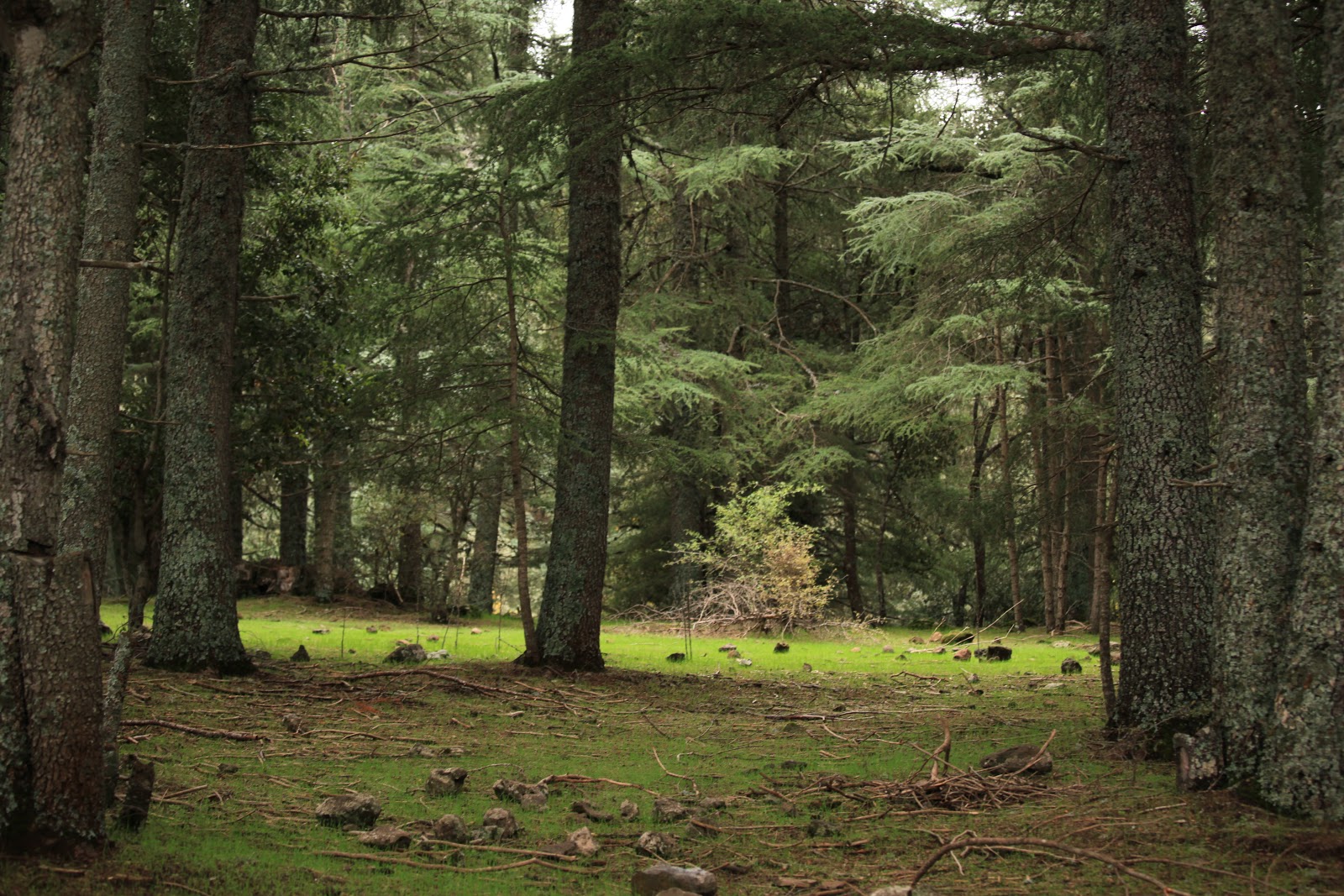 Le Maroc ... Autrement: A la rencontre du Moyen Atlas