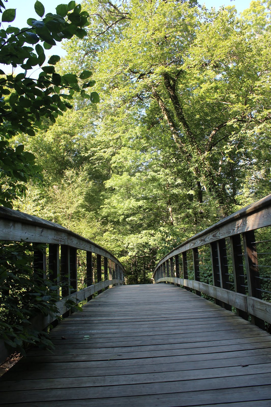 FINALLY - Visiting Warren Woods State Park