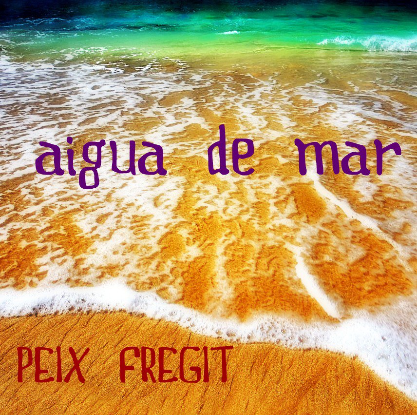 Havanerus | Havaneres i Cançó de taverna: Peix Fregit presenta Aigua de ...