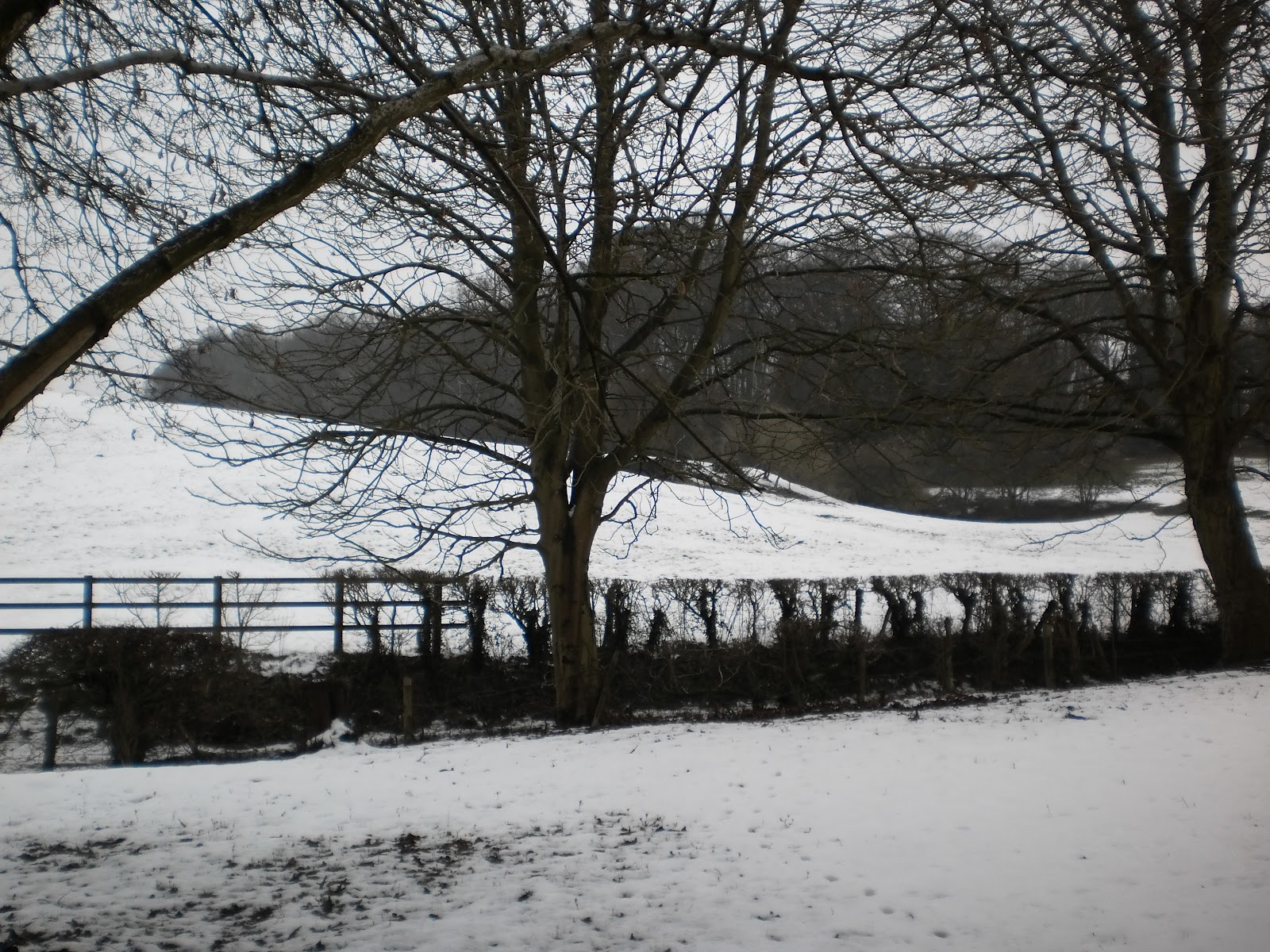 Las rutas de Nu: Gerrards Cross - Bulstrode Park