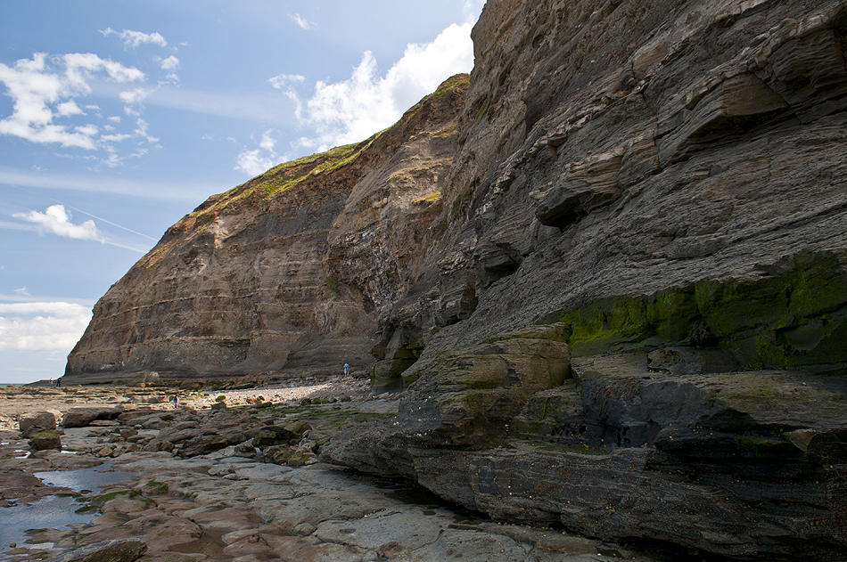 Around Scotland: FOSSIL HUNTING IN STAITHES