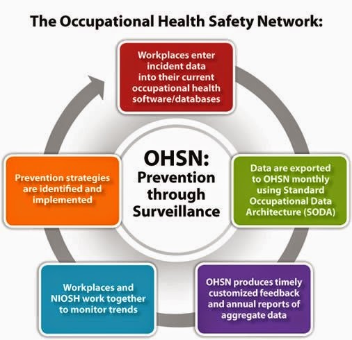 Health, Safety and the Environment (HSE): Occupational Health and Safety