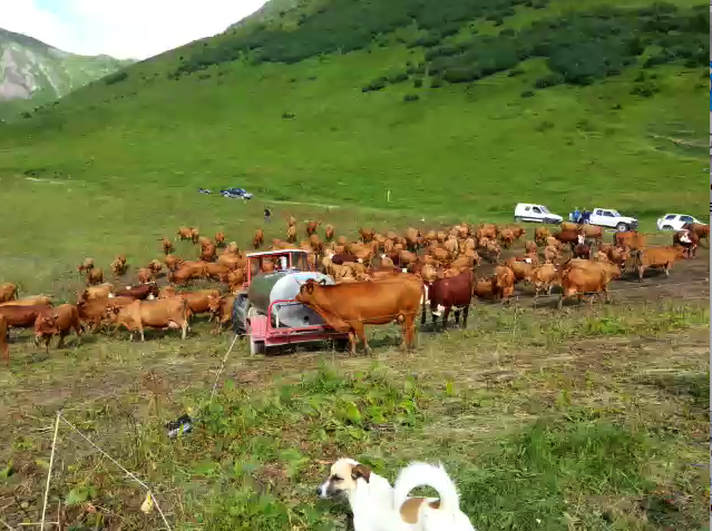 Vach'Expo LaSalle Beauvais au TNLA 2014: Au coeur des Alpes vivent les ...