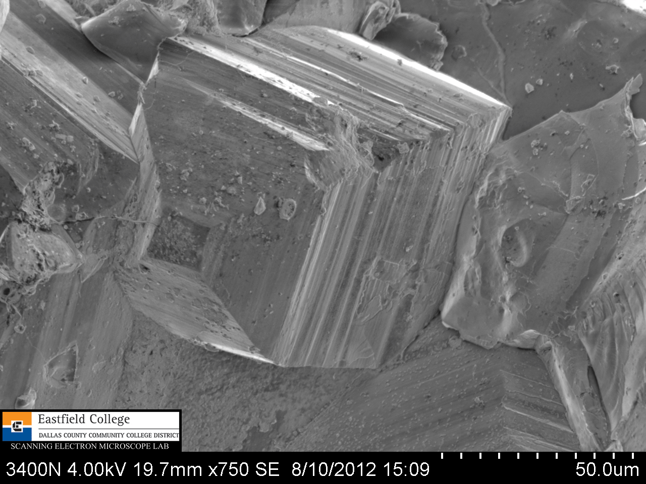 Scanning Electron Microscope Blog: Geology on a small scale