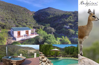 Regenwaldreisen: Rietfontein Guest Farm, Südafrika