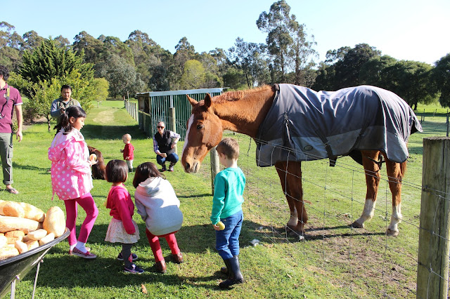 Western Australia Road Trip & Farm Stay (9 Days 8 Nights Itinerary)