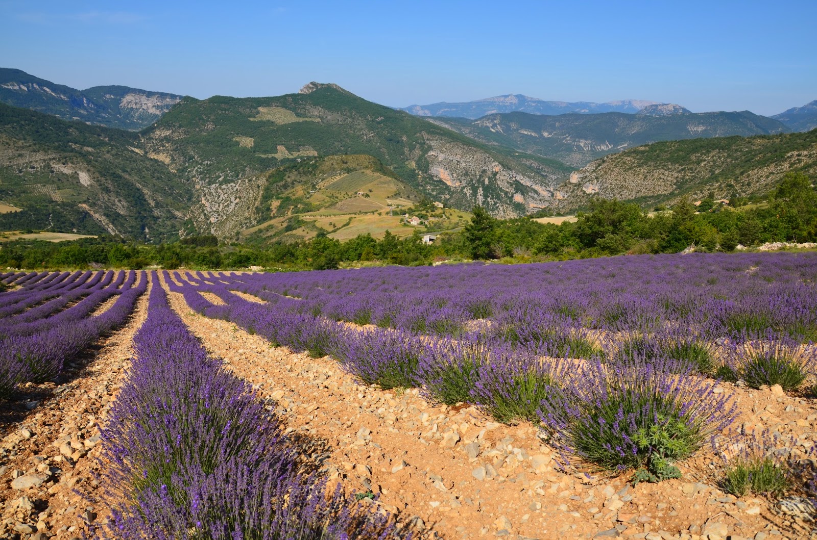 DROMESCAPE - Randonnées en Drôme et Escapades photographiques: Champs ...