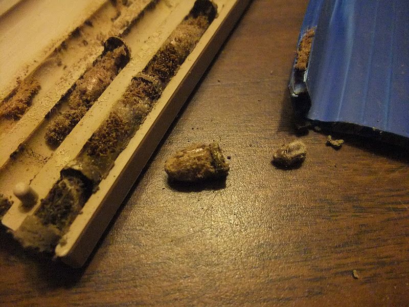 Nesting materials- 4mm corrugated plastic - Beediverse Mason Bees