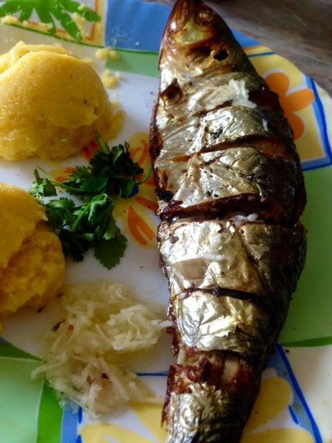 Chef De Cuisine Puiu-Oana-Mihaela: Scrumbie de Dunare la gratar